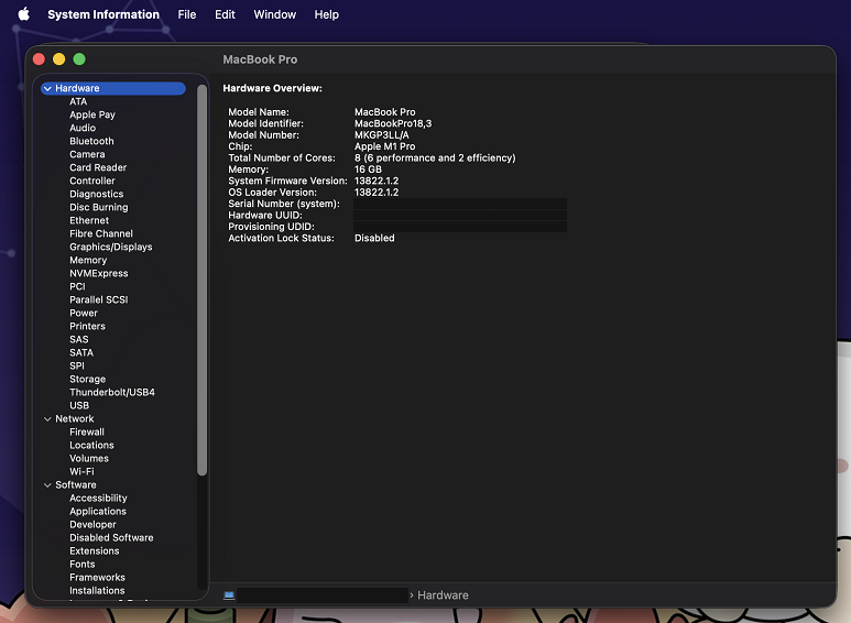 Creating macOS System Reports – MapleStory
